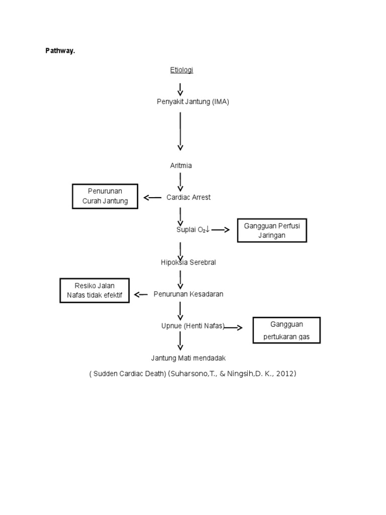 Pathway Penyakit Jantung dan Aritmia | PDF