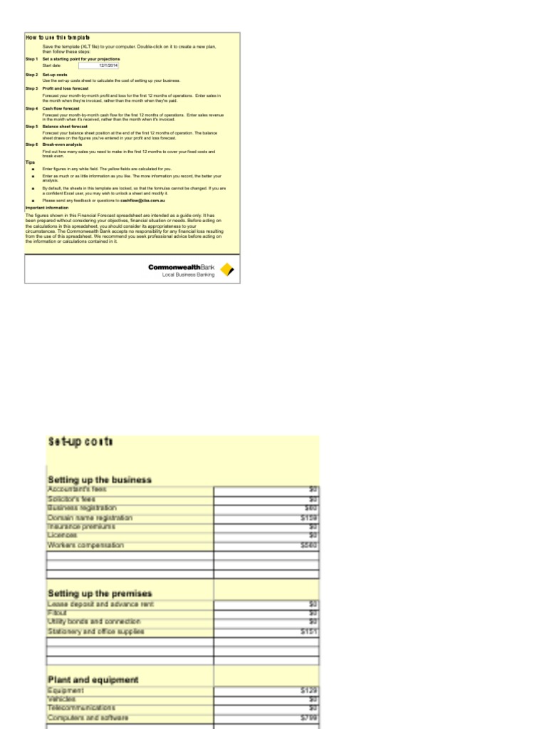 Financial Plan Template | PDF | Financial Accounting | Business Economics