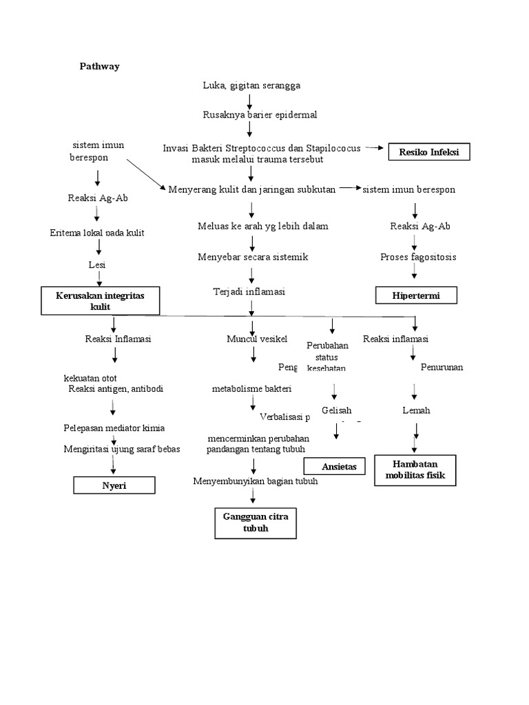 Pathway Selulitis | PDF