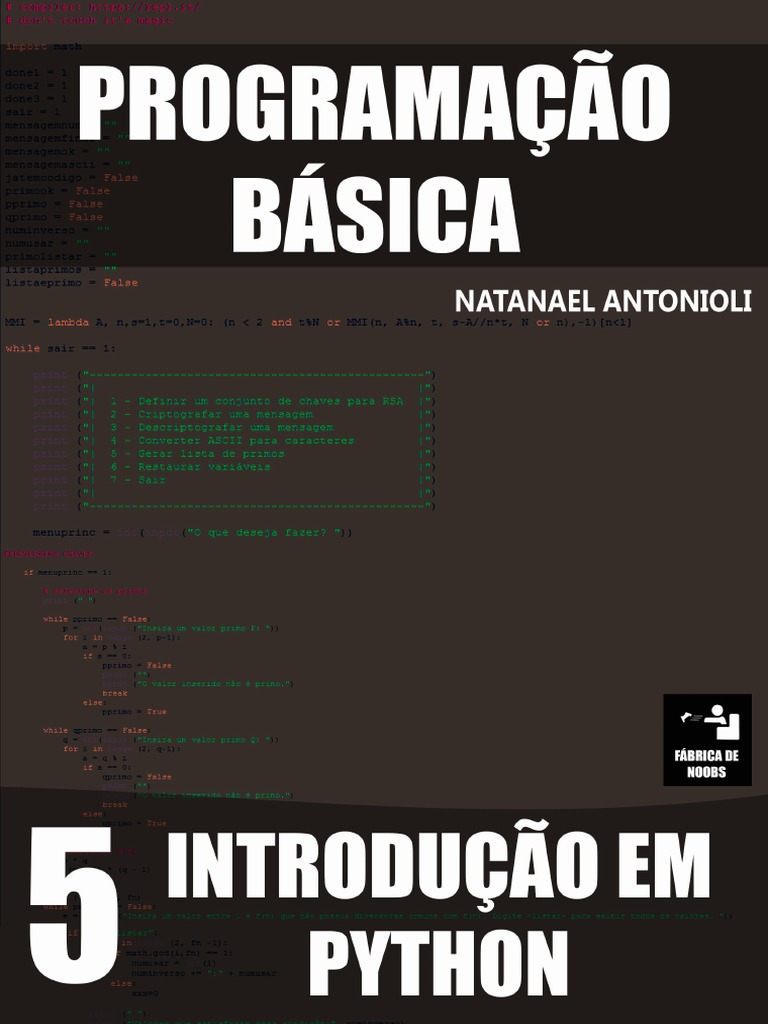 Guia Básico de Python para Iniciantes | PDF | Python (linguagem de ...