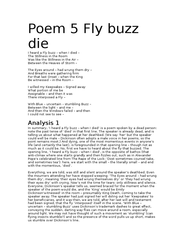 Poem 5 Fly Buzz Die | PDF | Emily Dickinson | Mind