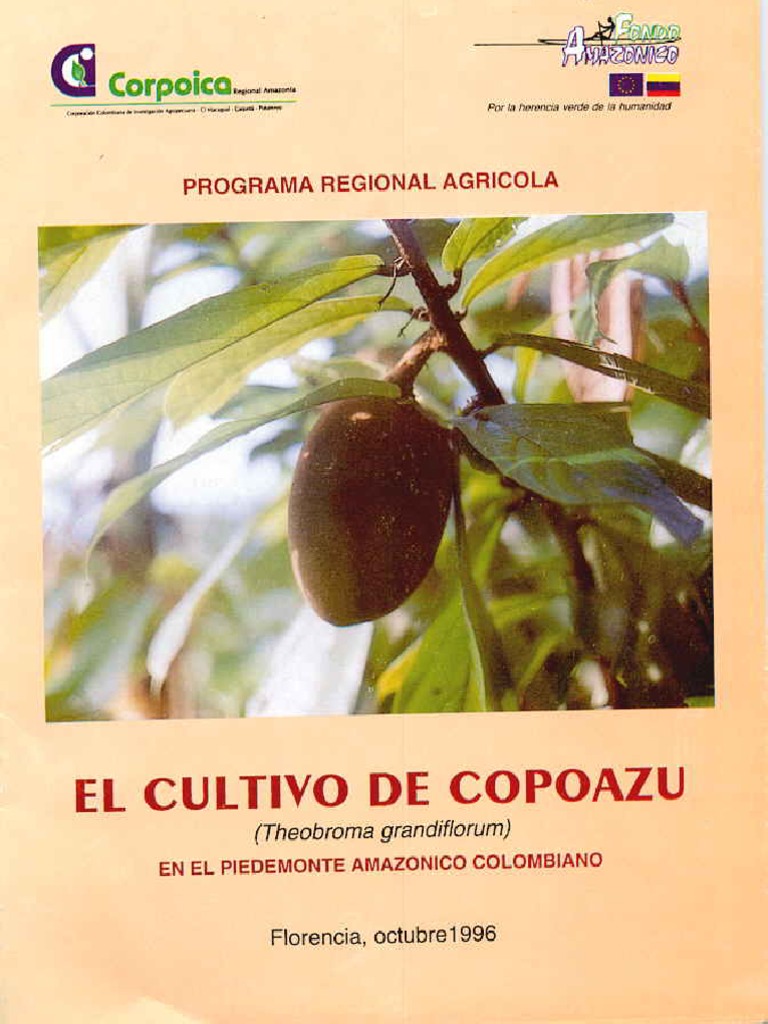 Cultivo de Copoazu