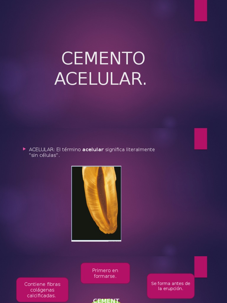 Tipos de cemento dental acelular | PDF
