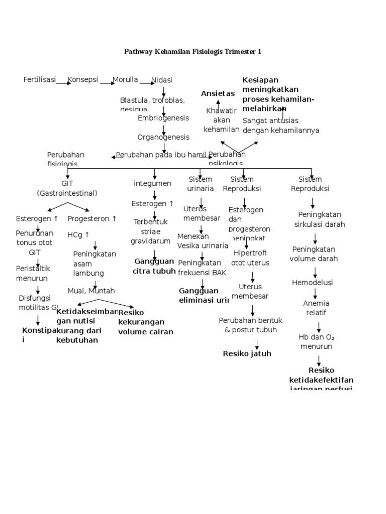 Pathway Trimester 1 | PDF