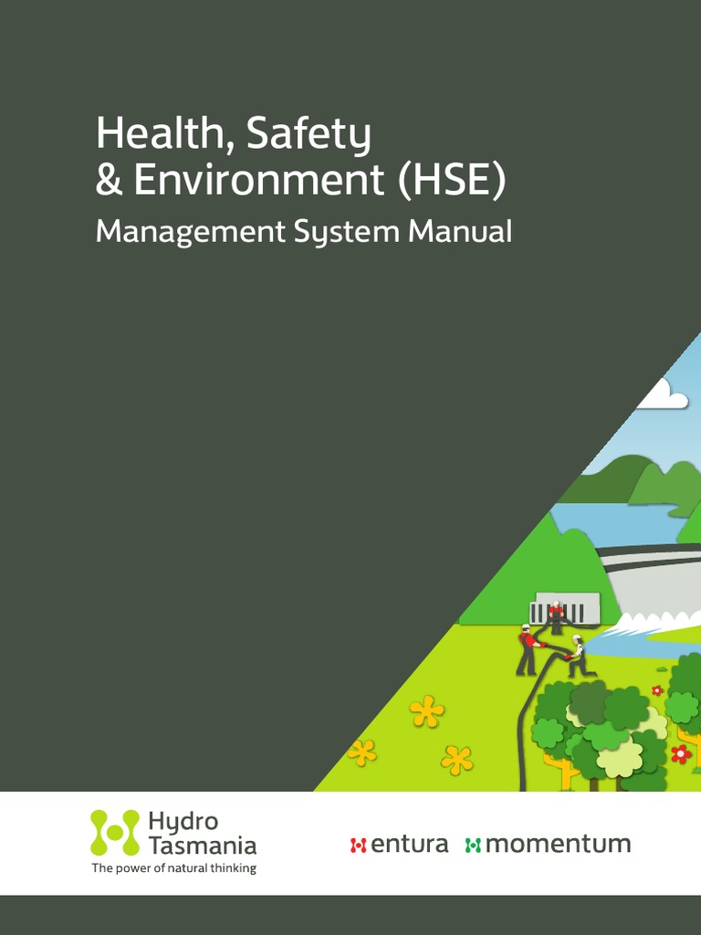 Health, Safety & Environment (HSE) : Management System Manual | PDF ...