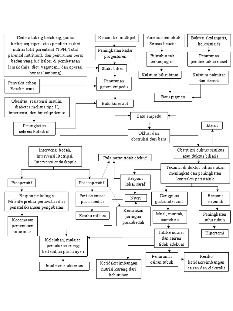 Pathway Batu Empedu | PDF
