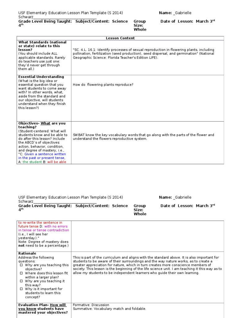 USF Elementary Education Lesson Plan Template (S 2014) Schwarz | PDF ...