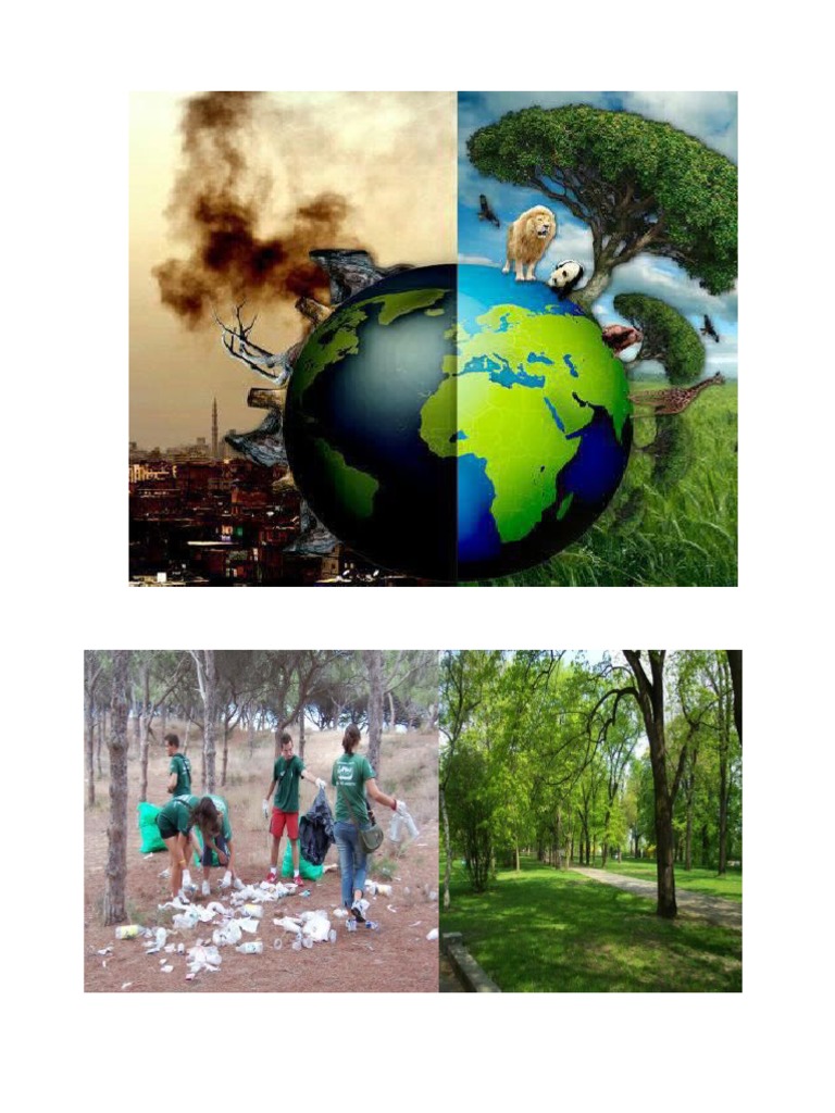 Ambiente Sano y Contaminado