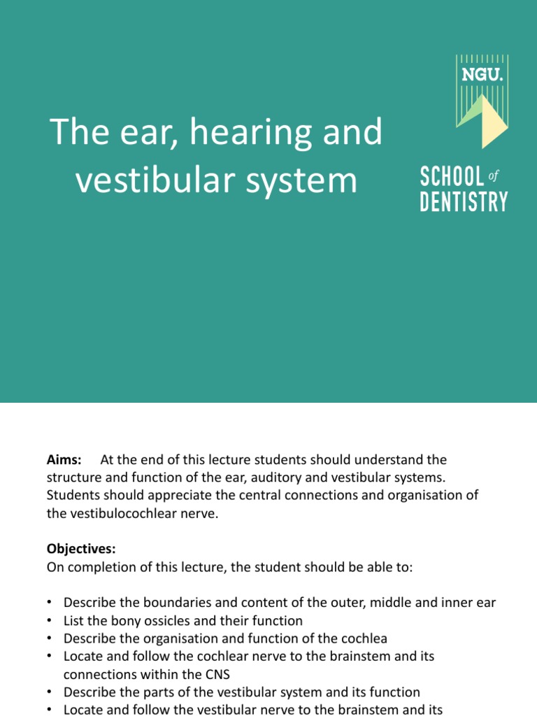 BDS1051 The Ear Hearing and Vestibular System (Lecture) | PDF