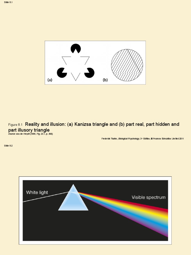 Reality and Illusion: (A) Kanizsa Triangle and (B) Part Real, Part ...