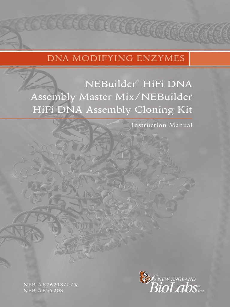 NEB Gibson Master Manual | PDF | Primer (Molecular Biology) | Molecular ...