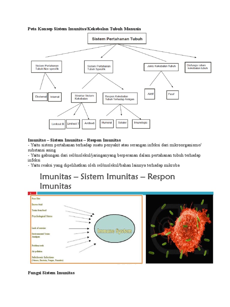 Peta Konsep Sistem Imunitas | PDF