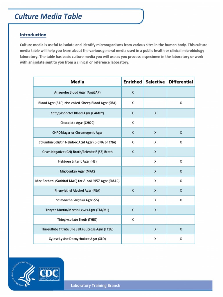 Culture Media Table: Media Enriched Selective Differential | PDF