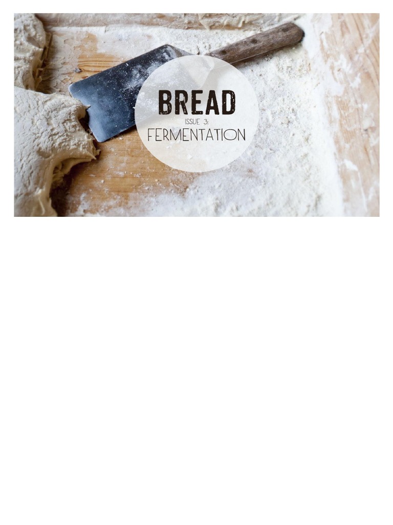 Bread Fermentation | PDF