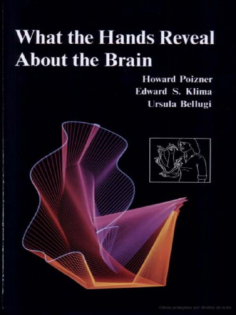 Sign Language Processing | PDF | American Sign Language | Morphology ...