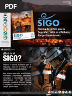 Sistema SIGO en Codelco: Seguridad y Salud | PDF | Seguridad y salud ...