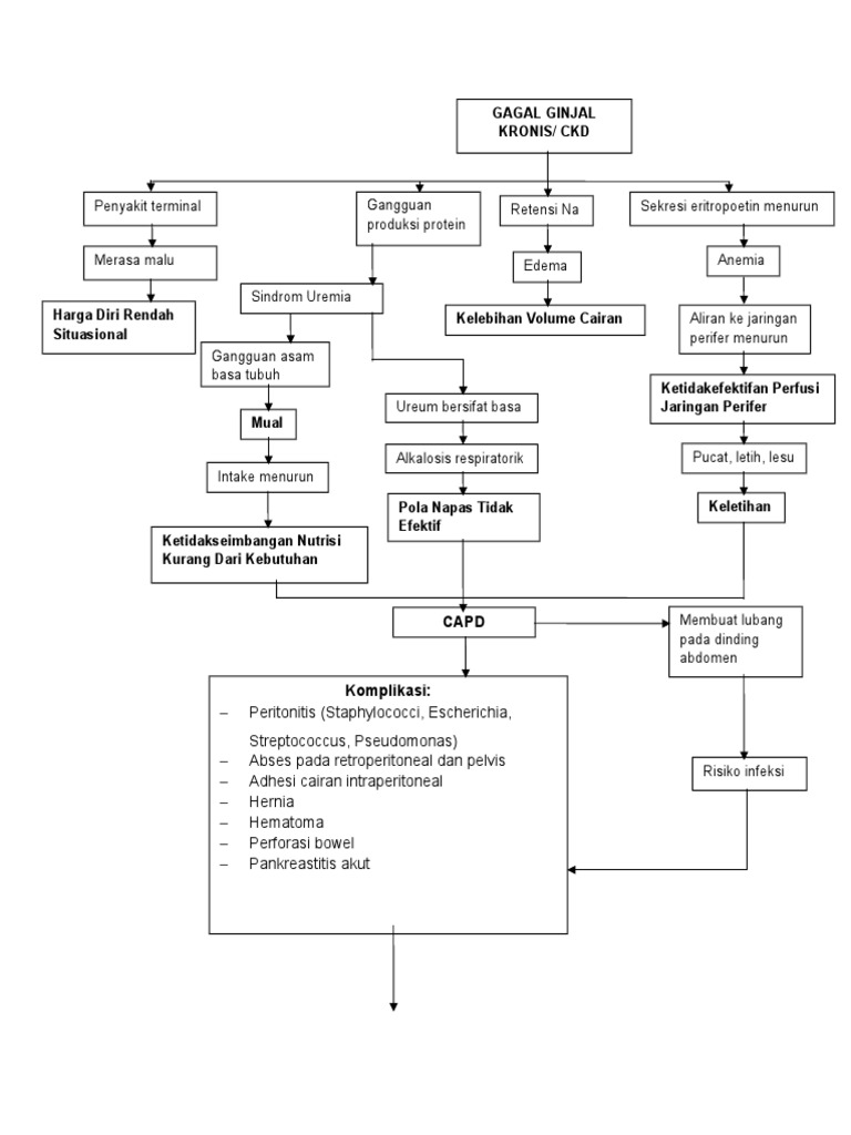 pathway ckd + capd