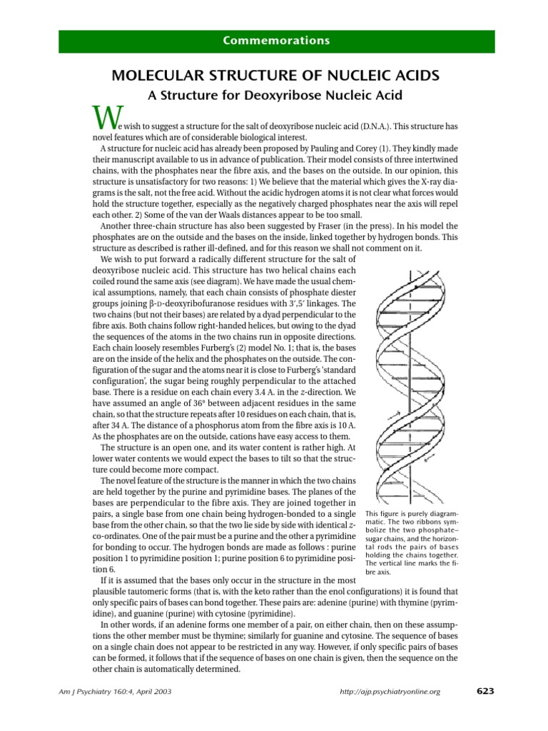 Watson and Crick 1953 PDF | PDF | Dna | Organic Compounds