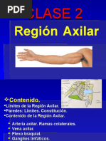 Niveles Axilares de Berg | PDF