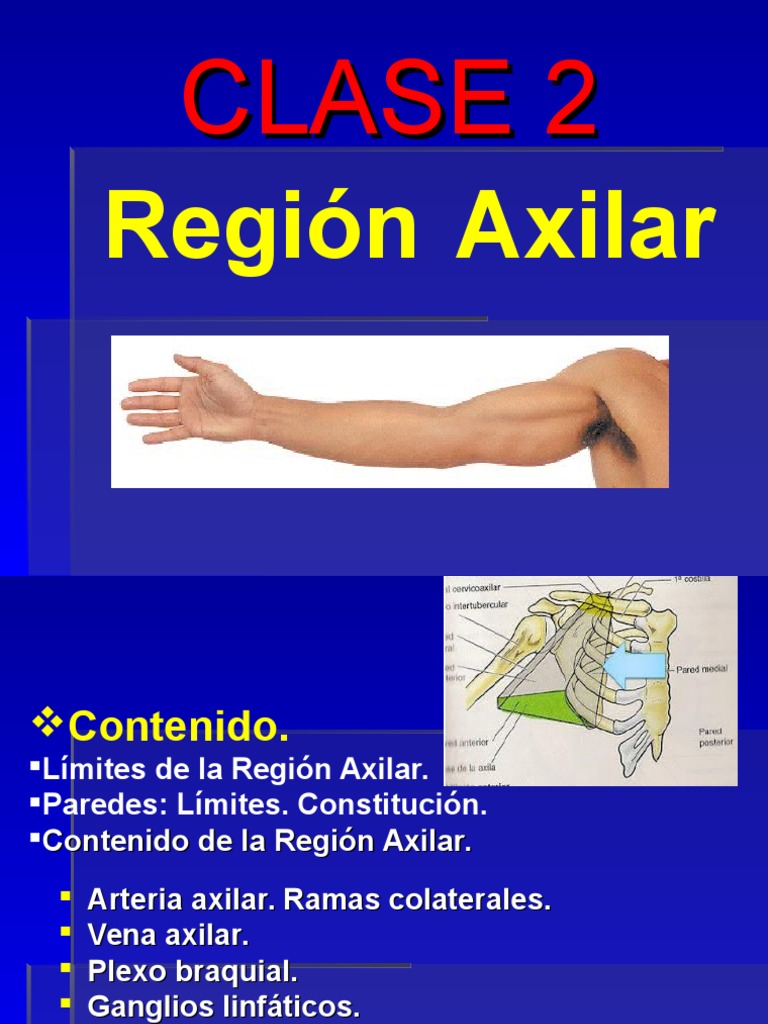 Region Axilar | Tejido suave | Angiología