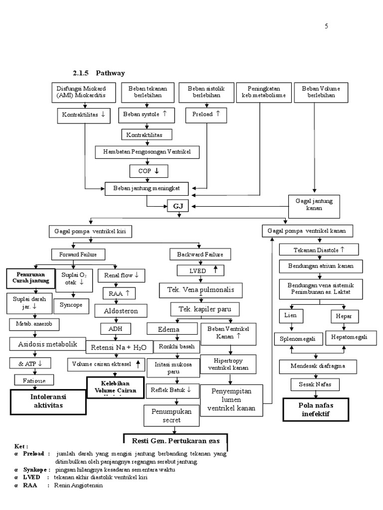 Pathway Ok CHF | PDF