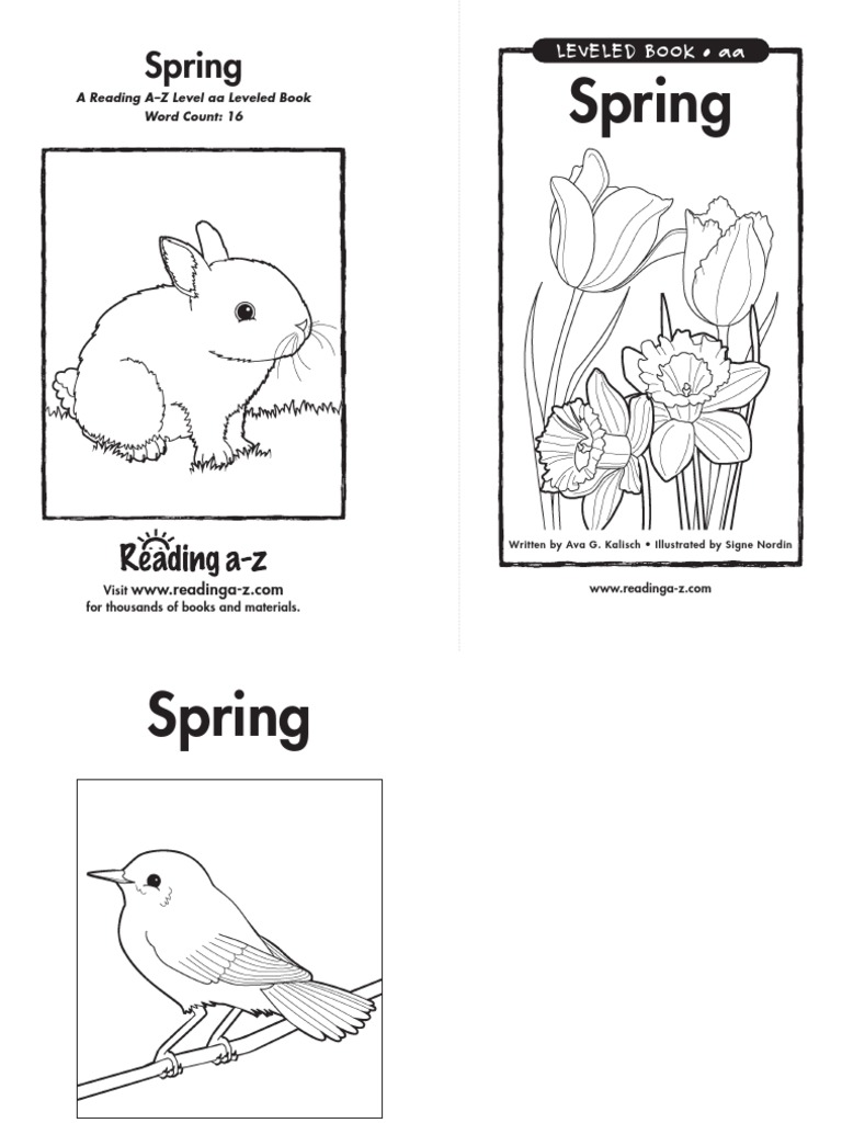 Raz Laa36 Spring | PDF