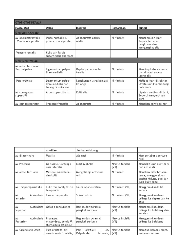 Origo dan Insertio Otot Kepala | PDF | Kajian Bahasa Asing