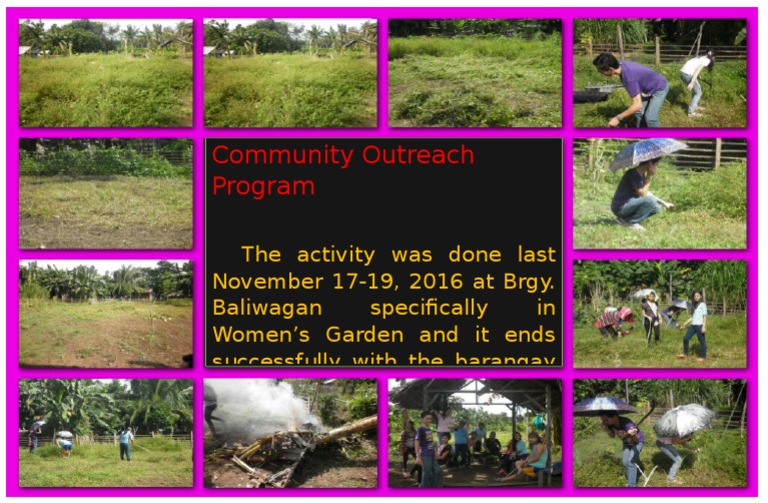 Community Program | PDF