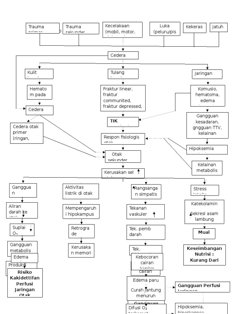 Pathway Cedera Kepala | PDF