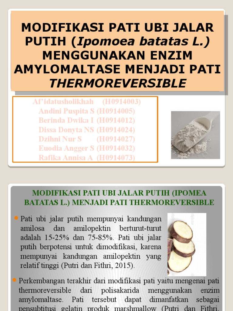 Egdp Modifikasi Pati Ubi Jalar Putih | PDF