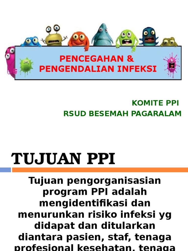 Presentasi Ppi | PDF