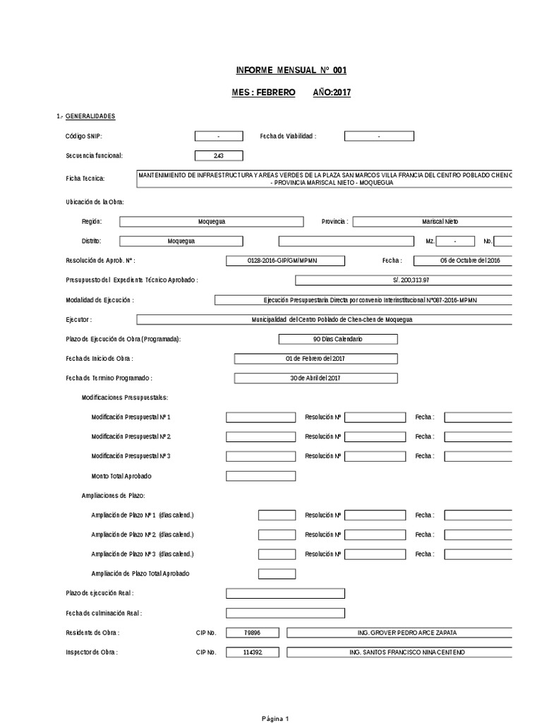 Modelo de Informe Mensual | PDF