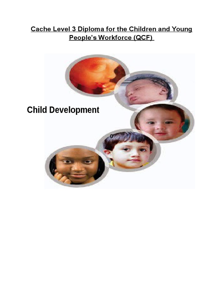Child Dev Workbook | PDF | Child Development | Relationships