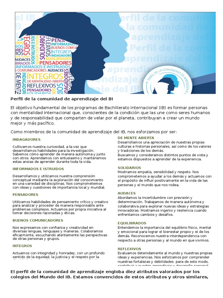 Perfil de La Comunidad de Aprendizaje Del BI | PDF | Creatividad ...