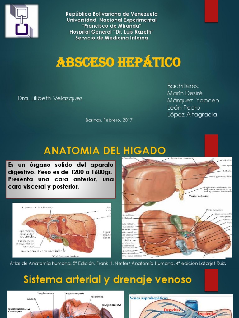 Absceso Hepatico | Hígado | Enfermedades y trastornos