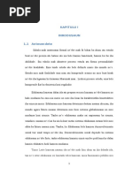 Desarrollo del Tetun: Fonología y Gramática | PDF | Fonología | Timor ...