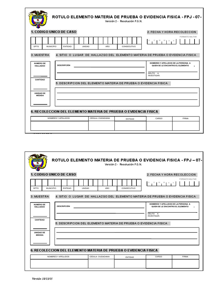 Fpj-07 Rotulo Cadena de Custodia | PDF | Ocio