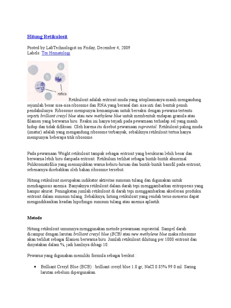 Hitung Retikulosit | PDF