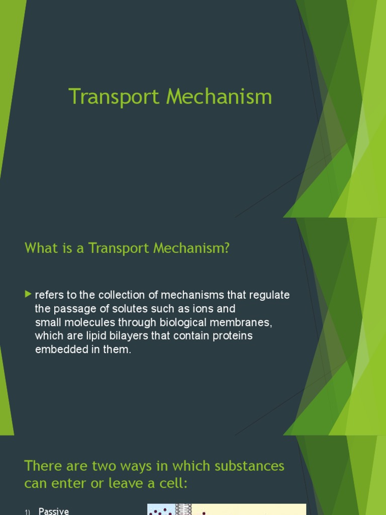 Overview of Cell Transport Mechanisms | PDF | Osmosis | Cell Membrane