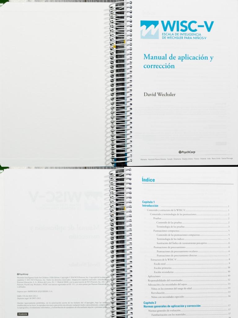 WISC V Manual | PDF