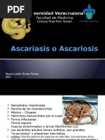 Quemaduras Faciales y Signos de Flogosis | PDF | Quemar | Inflamación