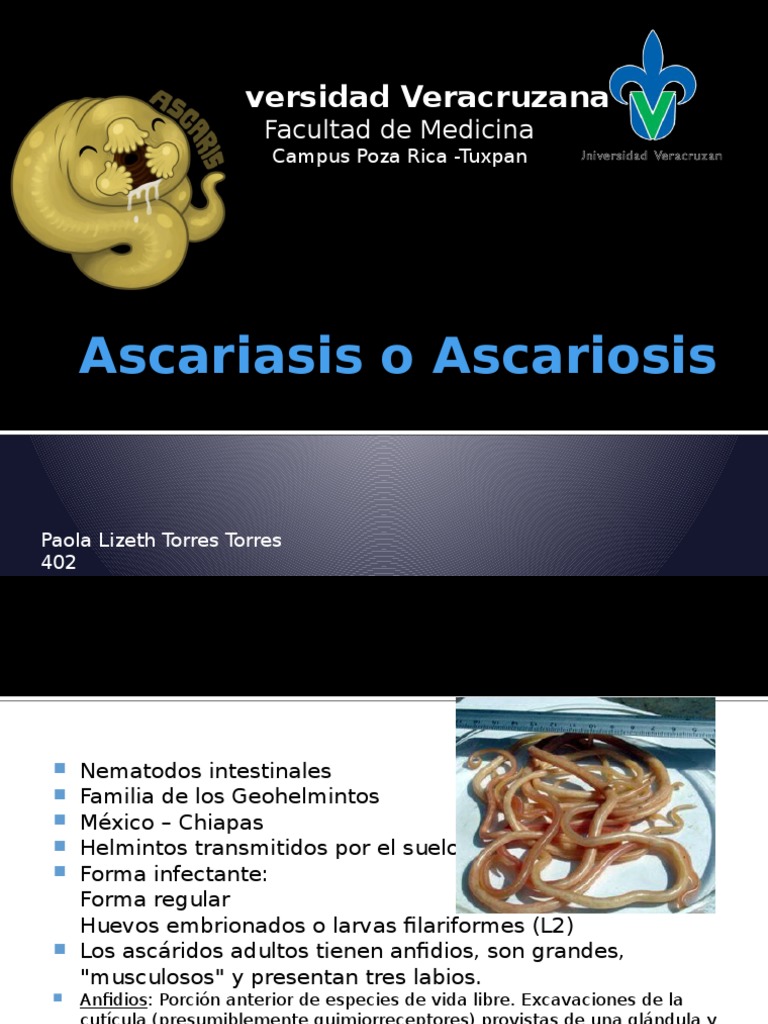 Ascariasis o Ascariosis | PDF | Gastroenterología | Especialidades Medicas