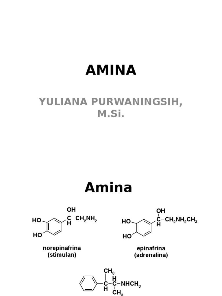 Amina | PDF
