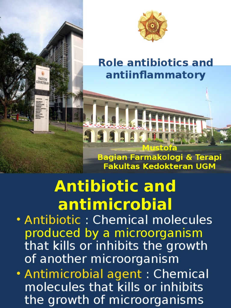 Antibiotics: Types and Mechanisms Explained | PDF | Antibiotics ...