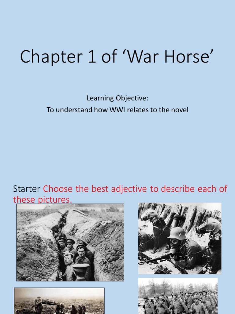 First Ten Lessons of War Horse | PDF | Unrest | Violence