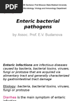 Biochemical Test Chart | PDF | Microbiology | Prokaryote