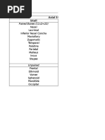List of 206 Human Bones Labeled | PDF | Anatomical Terms Of Location ...