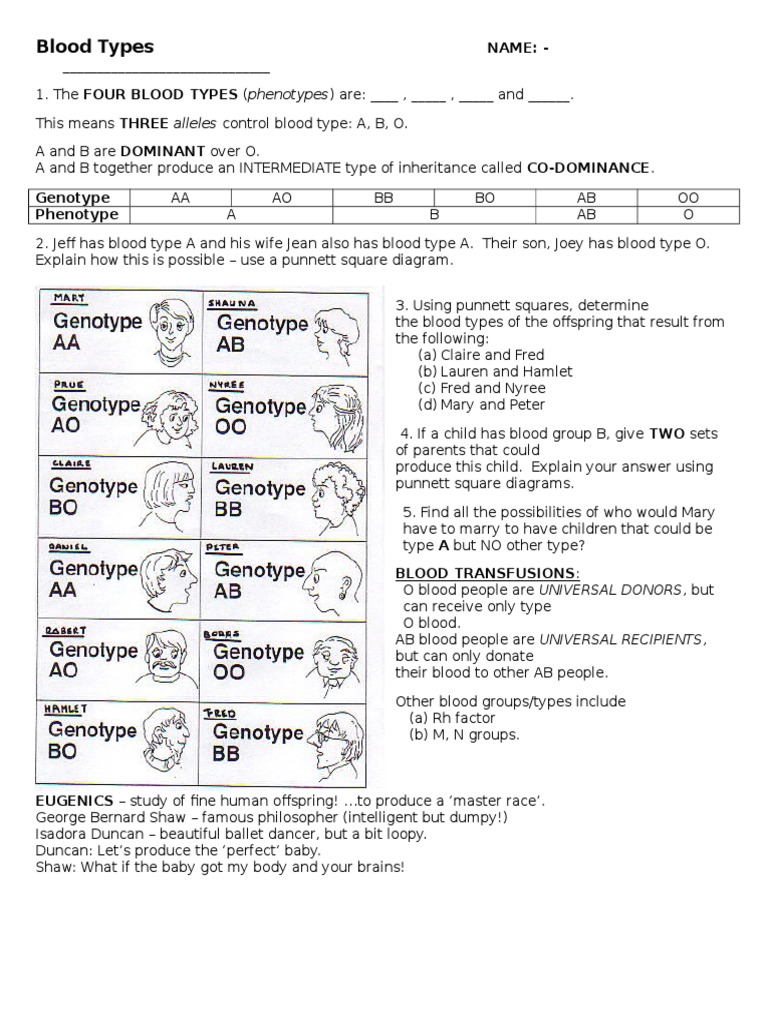 Blood Type Inheritance and Punnett Squares | PDF | Blood Type | Serology