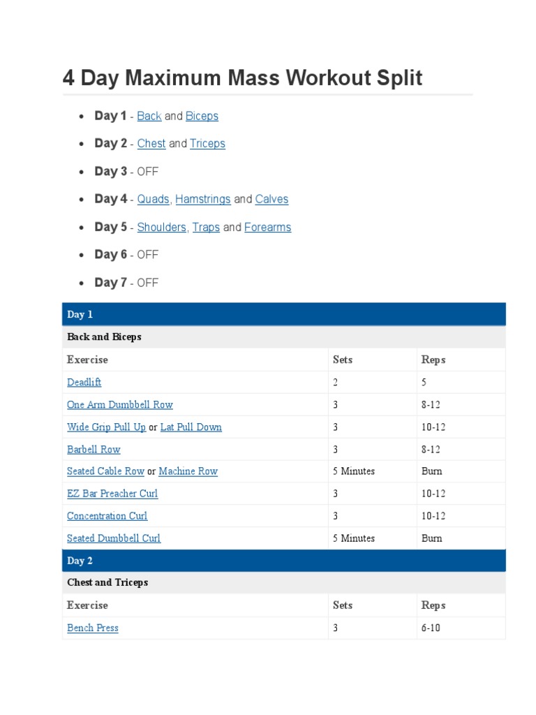 4-Day Muscle Building Routine | PDF