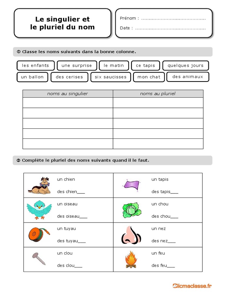 Exercices sur le Singulier et Pluriel | PDF